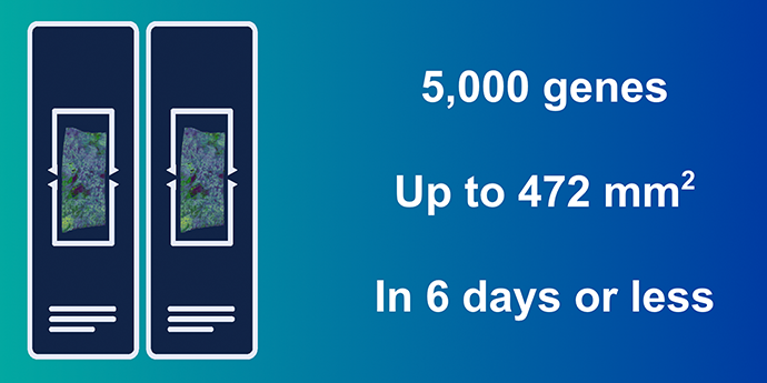 【Xenium】5K基因：在更短的时间分析更多的组织，在空间背景下探索单细胞数据