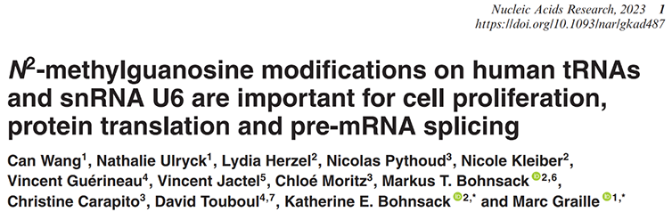 Arraystar tRNA PCR芯片助力tRNA、snRNA m2G修饰的重要机制研究