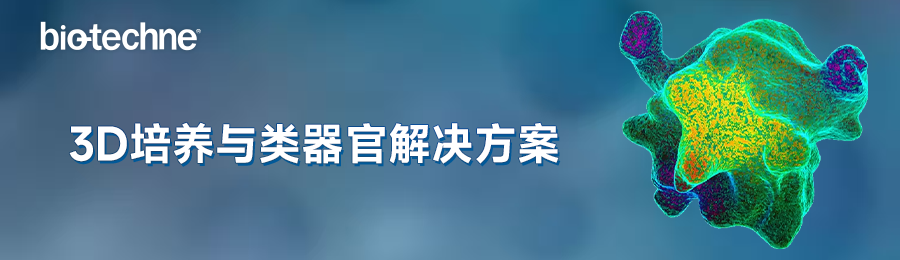 3D培养与类器官解决方案