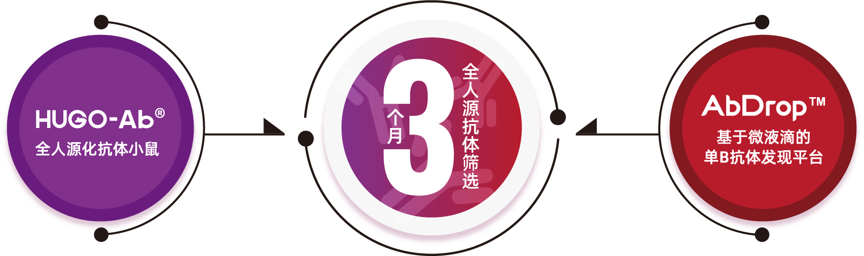 赛业生物HUGO-Ab®与百英生物AbDrop™ 联合打造高通量全人源抗体发现平台 | 市场活动 | 赛业（苏州）生物科技有限公司
