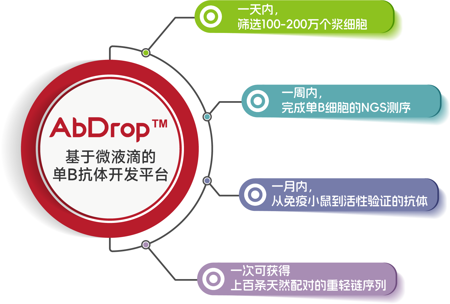 赛业生物HUGO-Ab®与百英生物AbDrop™ 联合打造高通量全人源抗体发现平台 | 市场活动 | 赛业（苏州）生物科技有限公司