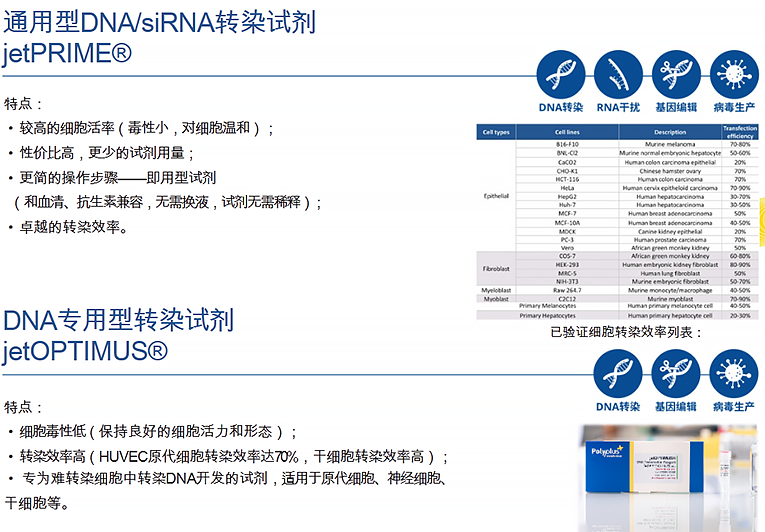 Polyplus 开学季——团起来 价格更开心