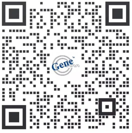 【CST新品发布】CUT&Tag ——解锁新的表观遗传学分析解决方案！