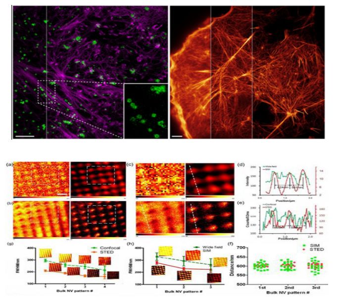 2019年清华光学影像实用技术培训第四期超分辨SIM/STORM成像研习班