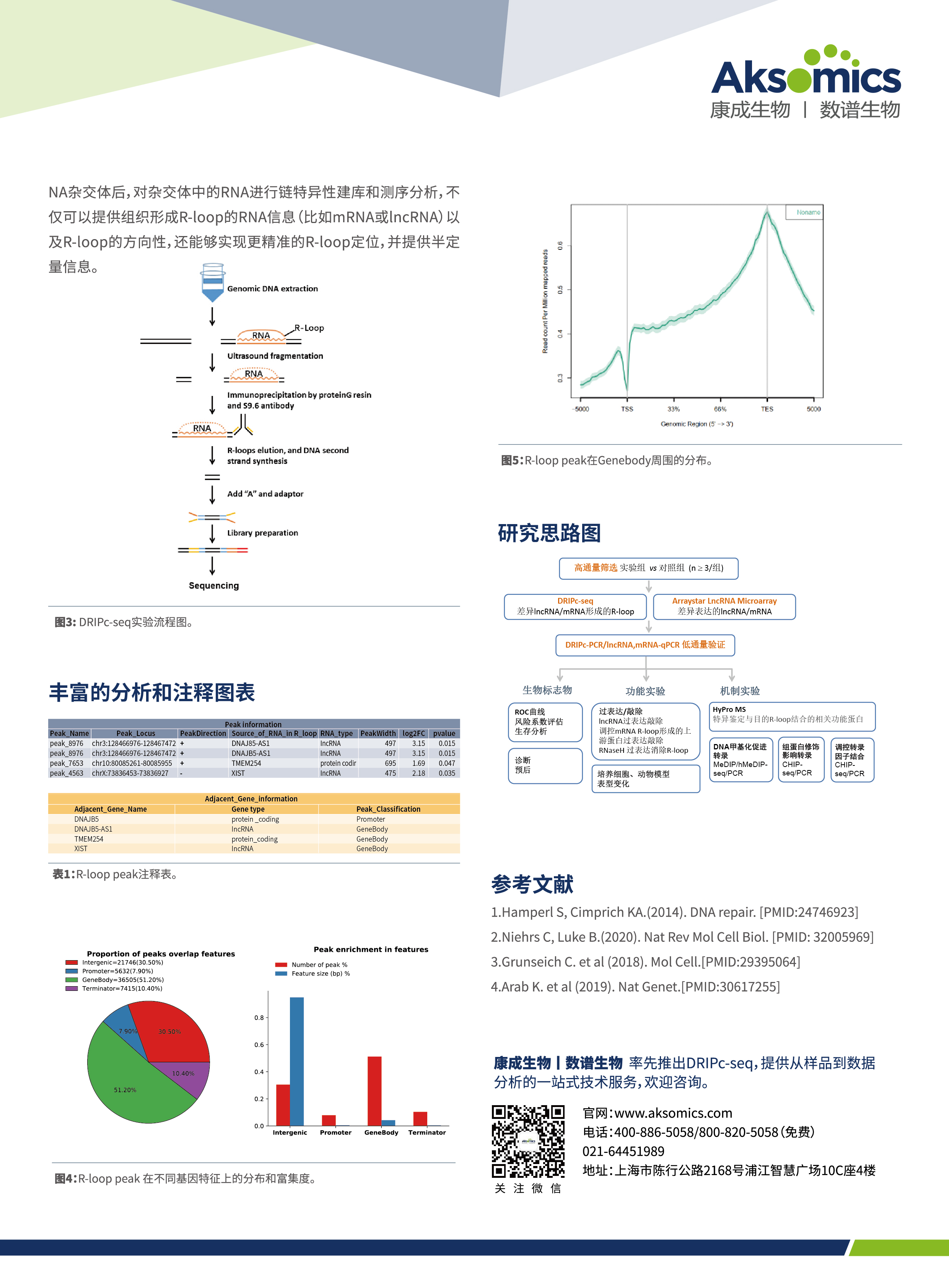 DRIPc-seq New！研究ncRNA通过形成R-LOOP调控基因表达