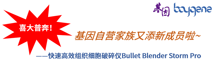 快速高效组织细胞破碎仪Bullet Blender Storm Pro