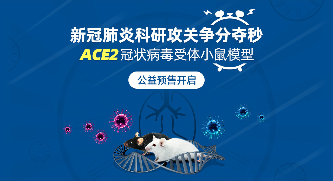 ACE2冠状病毒受体小鼠模型/新型冠状病毒相关小鼠模型 | 赛业生物科技有限公司