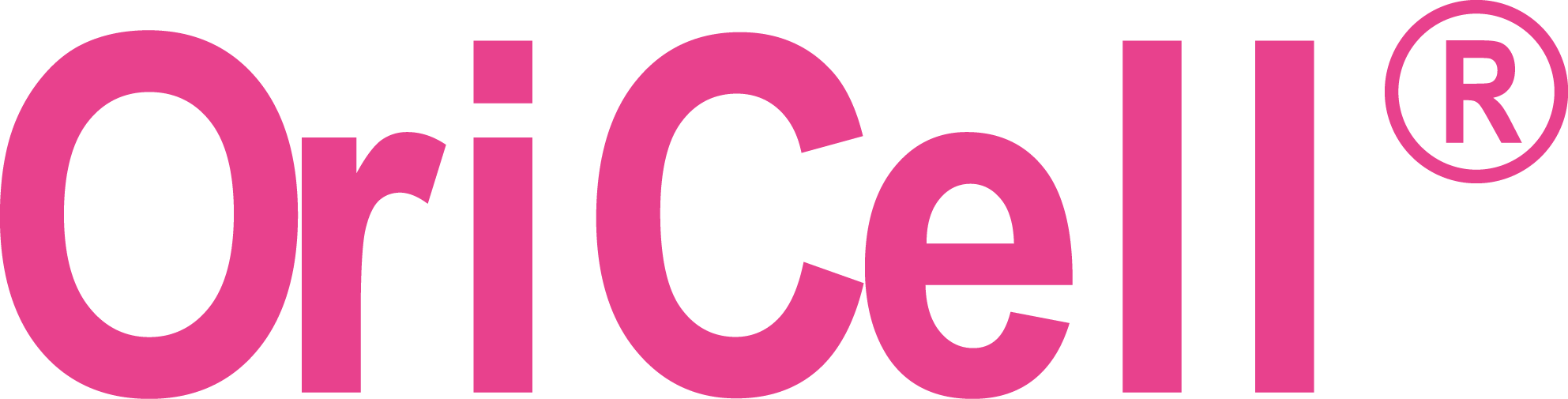 下载中心 | 赛业（广州）生物科技