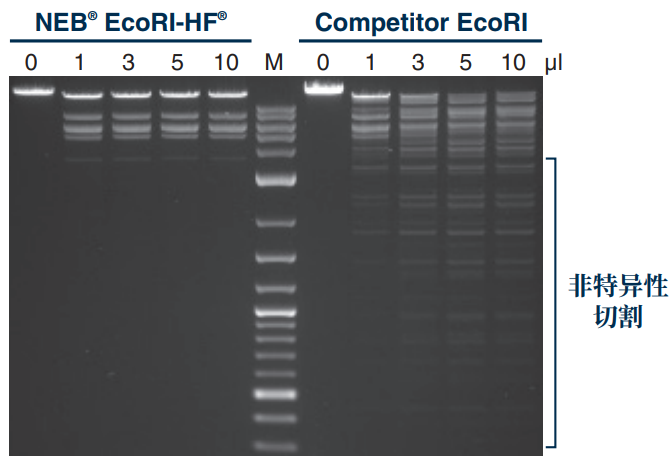 NEB（中国） "50周年庆，倾情回馈科学”全线限制性内切酶买一送一