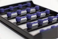 QuantStudio Absolute Q | Thermo Fisher Scientific - CN