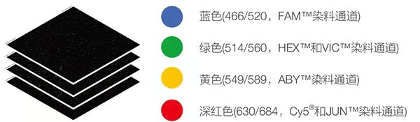 QuantStudio Absolute Q | Thermo Fisher Scientific - CN
