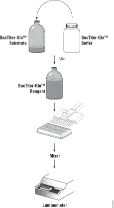 普洛麦格中文通讯2004第11期