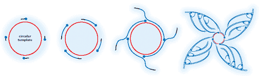 TempliPhi DNA测序模板扩增试剂盒[新品推荐] - 生物通