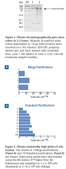 Adeno-X 腺病毒纯化试剂盒[新品推荐] - 生物通