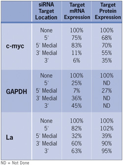 在哺乳动物细胞中进行RNA干扰:设计，实验和分析siRNA效应[创新技巧] - 生物通
