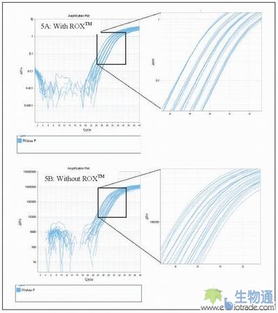 使用Rox™的好处 —确保您获得均一的定量PCR实验结果[创新技巧] - 生物通