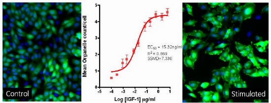 IN Cell Analyzer 2000：让最具挑战性的高内涵分析高效完成[创新技巧] - 生物通