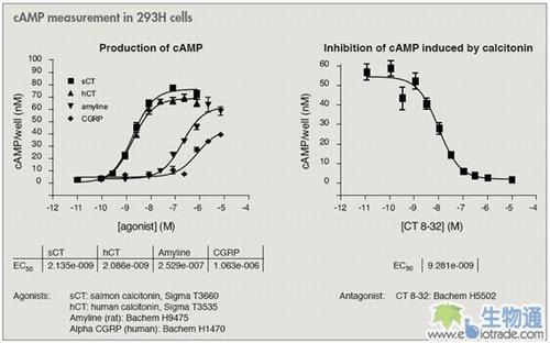 GPCR 研究方案-多样化的HTRF细胞平台[创新技巧] - 生物通