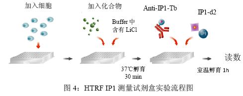 HTRF IP-One细胞水平检测[新品推荐] - 生物通