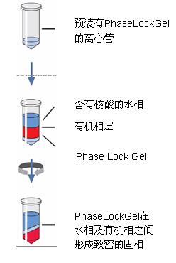 Phase Lock Gel™ - 酚氯仿抽提核酸的最佳伴侣[新品推荐] - 生物通