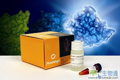 Promega公司推出新型萤光素酶——更小、更亮、更灵活 - 生物通