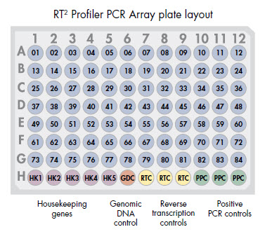 通过qPCR开展基因表达谱分析（一）[新品推荐] - 生物通