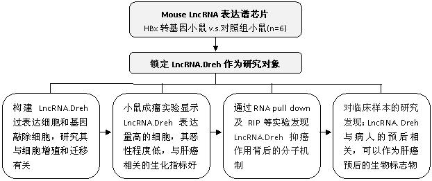 Hepatology发表应用Arraystar Mouse LncRNA芯片研究肝癌的文章 - 生物通