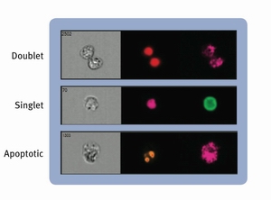 FlowSight多维全景流式细胞仪：下一代“专家级”流式细胞仪[新品推荐] - 生物通