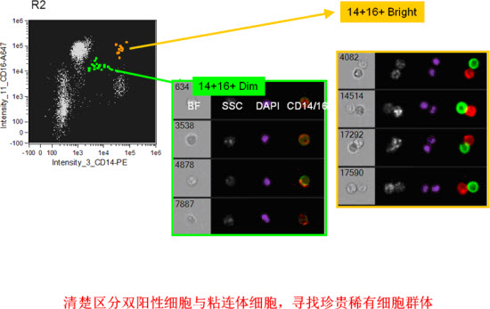 FlowSight多维全景流式细胞仪：下一代“专家级”流式细胞仪[新品推荐] - 生物通