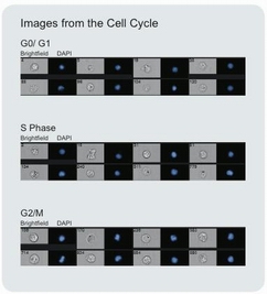 FlowSight多维全景流式细胞仪：下一代“专家级”流式细胞仪[新品推荐] - 生物通