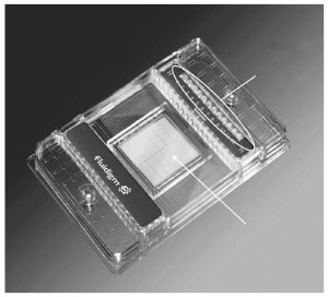 基于数字PCR的单分子DNA定量技术研究进展 - 生物通
