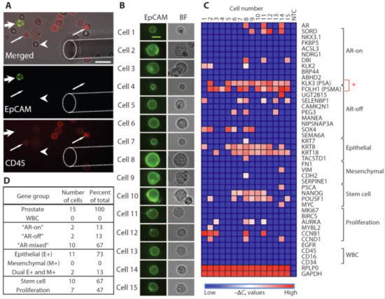BioMark HD平台应用于CTC单细胞分析[创新技巧] - 生物通