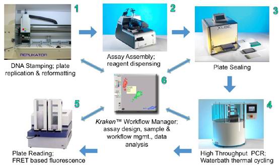 灵活经济的SNP检测方案---LGC Genomics SNPline - 生物通