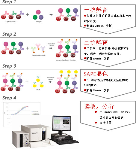 ProcartaPlex™多因子检测 - 生物通