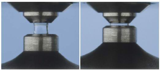 NanoDrop新应用——用NanoDrop进行小分子药物的质控 - 生物通