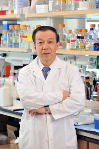 顶级遗传学家Science子刊发布优质抗癌方案 - 生物通
