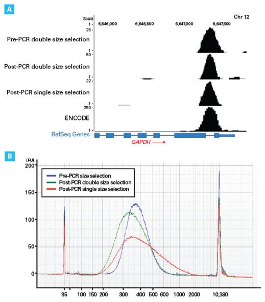 DNA SMART技术让ChIP Seq研究更轻松 - 生物通