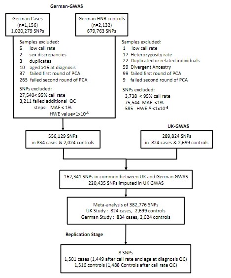 KASP在转化医学方向的应用 - 生物通