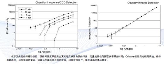 蛋白质研究的一盏神灯 - 生物通