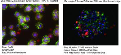 Cytation™5 细胞成像多功能检测系统 [新品推荐] - 生物通