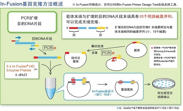 经典回顾：15分钟实现无缝克隆的In-Fusion技术 - 生物通