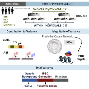 7年研究成果，iPSCs群体遗传病报告汇总 - 生物通