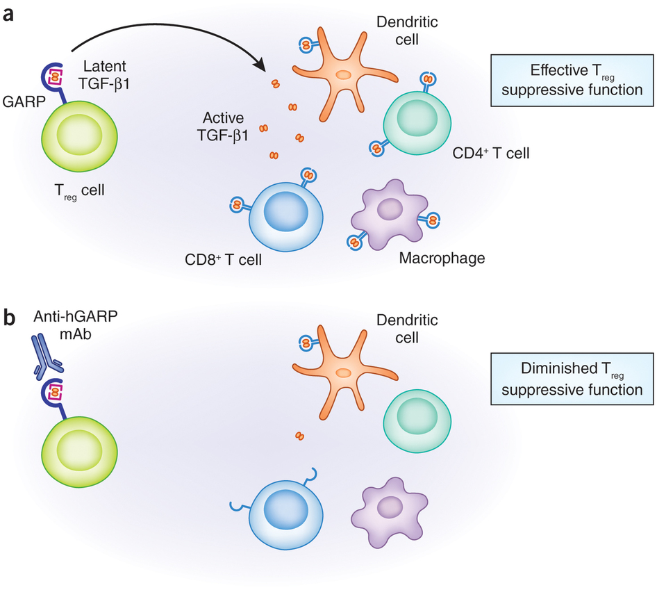 Science Immunology披露最想不到的癌症“帮凶”！ - 生物通