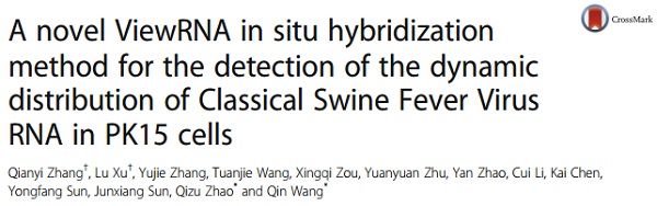 新型ViewRNA原位杂交方法揭示病毒生命周期 - 生物通