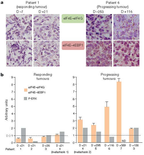 看得见的蛋白互作新技术——Duolink PLA - 生物通