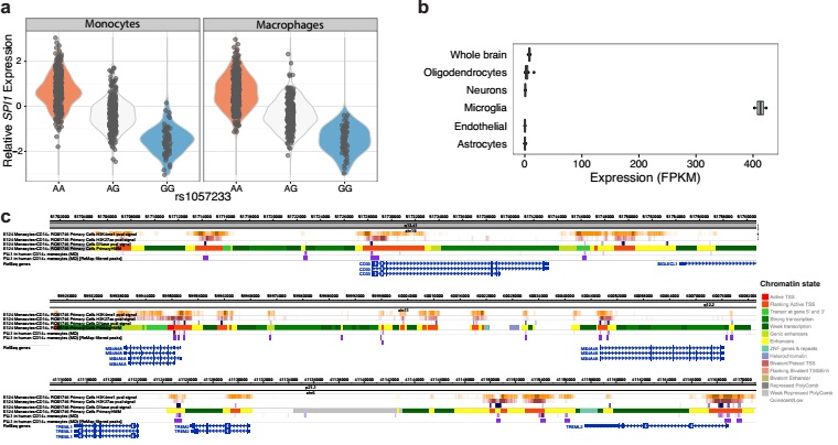 Nature子刊：谁该为阿尔兹海默症买单？免疫细胞！ - 生物通