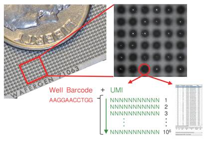 单细胞分离的神器——ICELL8™ Single Cell System - 生物通