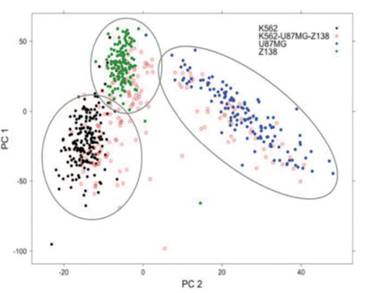 单细胞分离的神器——ICELL8™ Single Cell System - 生物通