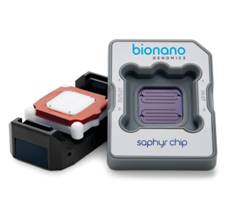 基因组检测的蓝宝石——Bionano Saphyr™，为您带来更多的眼见为实 - 生物通