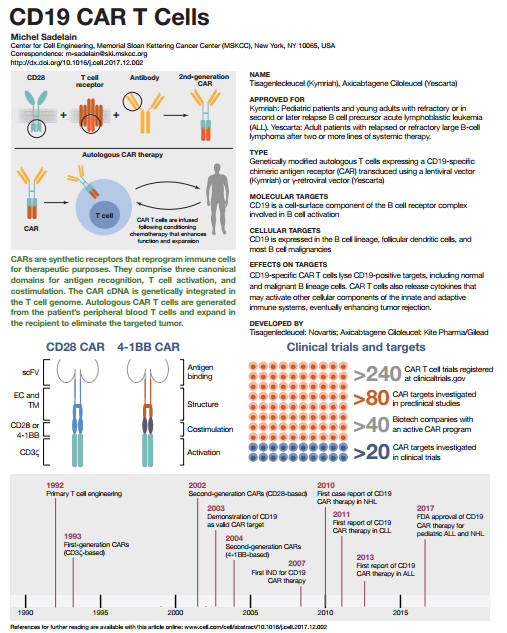 《Cell》一张图说清楚CD19 CAR-T细胞转化医学 - 生物通